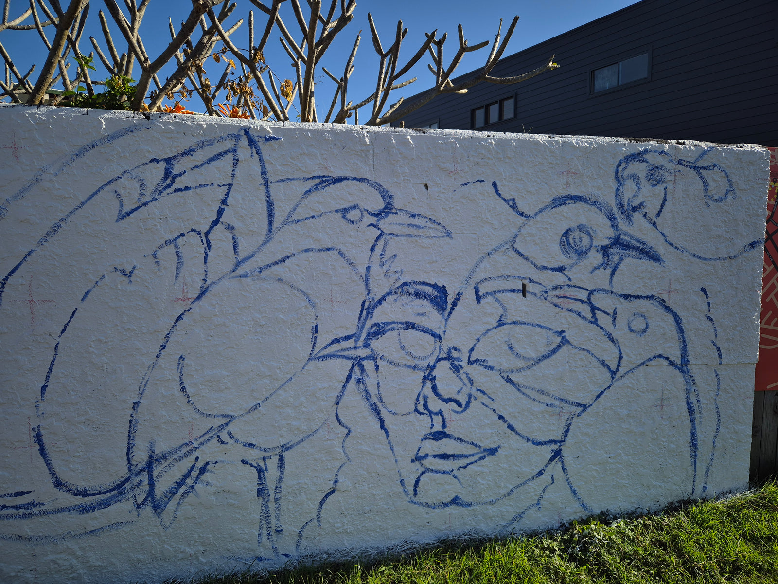 Murals – This Bird