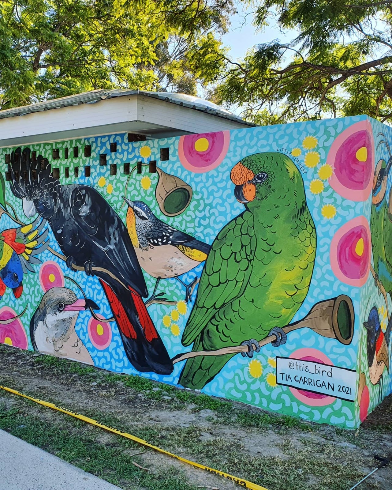 Murals – This Bird