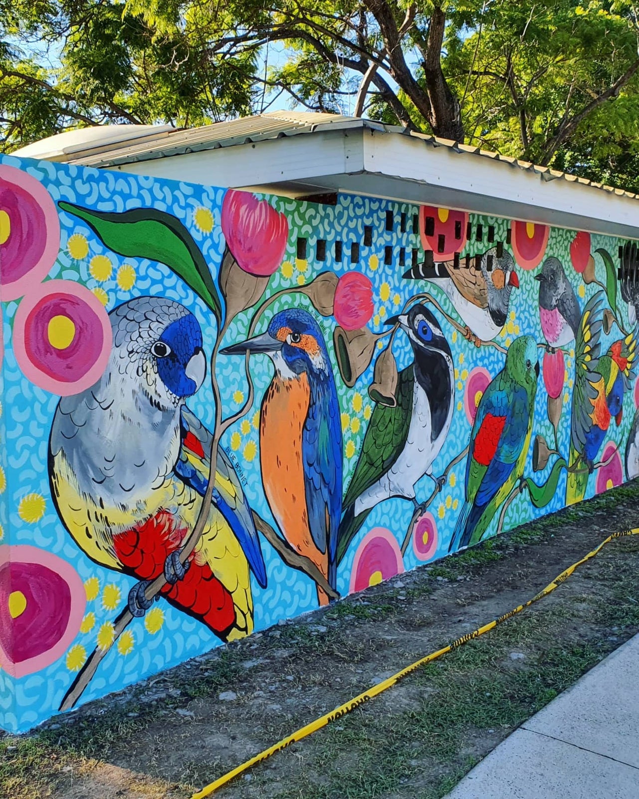 Murals – This Bird