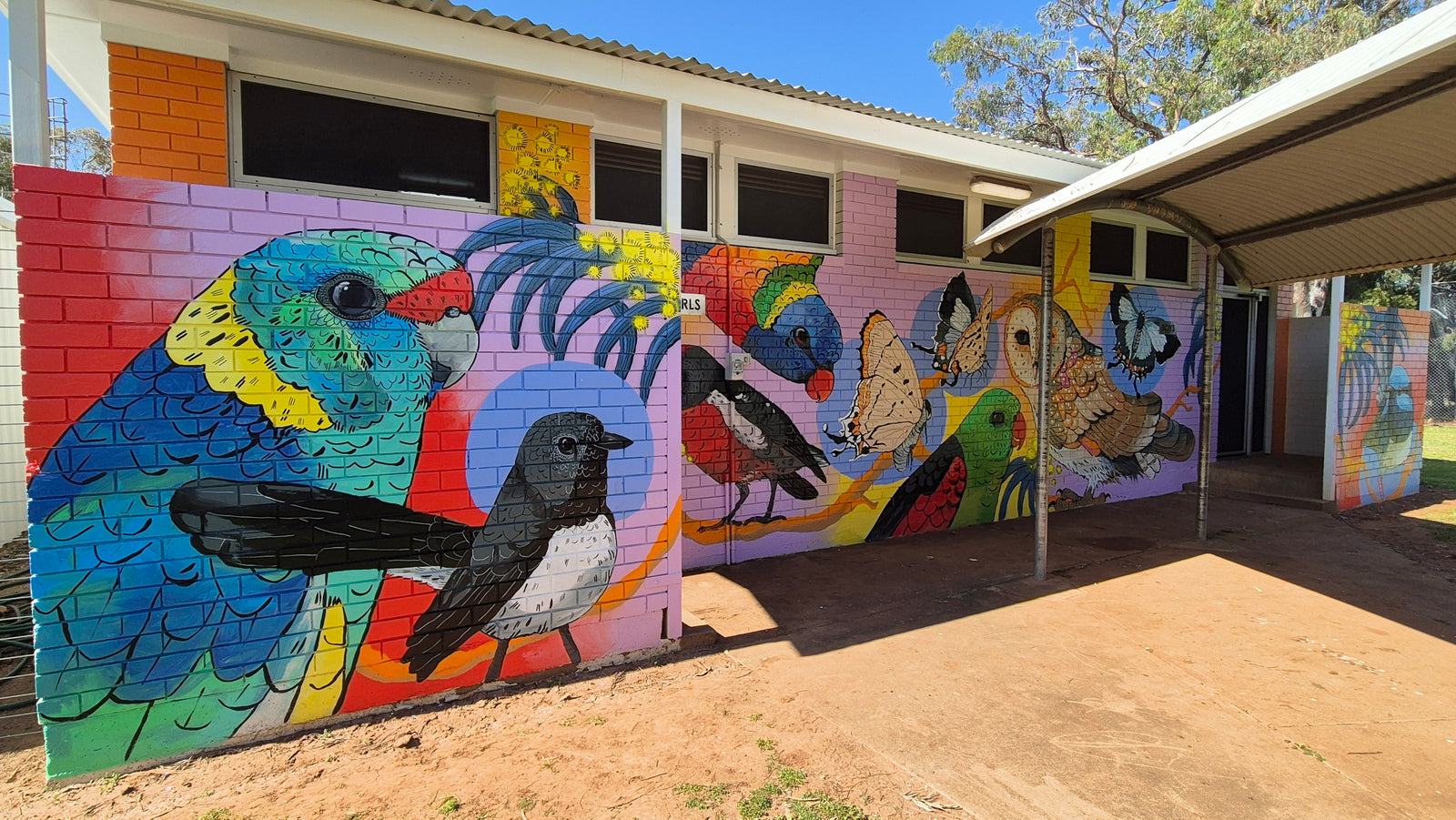 Murals – This Bird